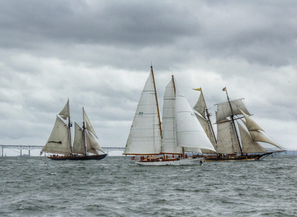 Schooner Woodwind's Schooner Race History